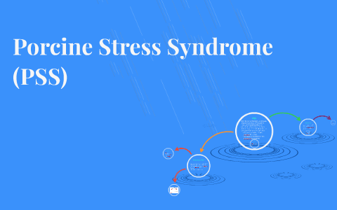 Porcine Stress Syndrome (PSS) by Alfonso Ceja on Prezi
