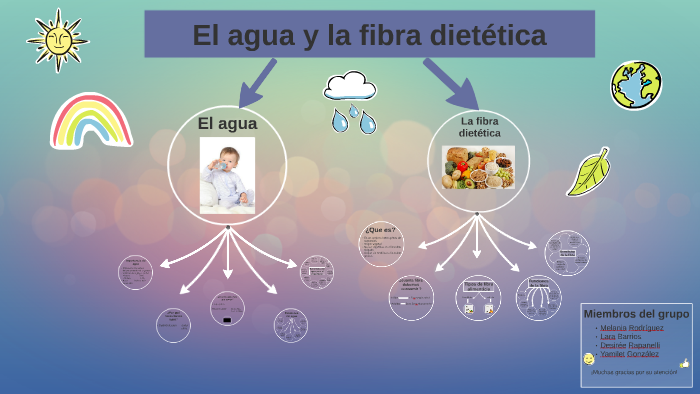 El agua y la fibra dietética by yamilet gonzález gonzález on Prezi Next
