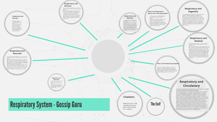 Respiratory System - Gossip Guru by Ansel Olsen on Prezi