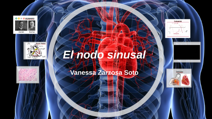 El nodo sinusal by Vanessa Pierina Zarzosa Soto on Prezi