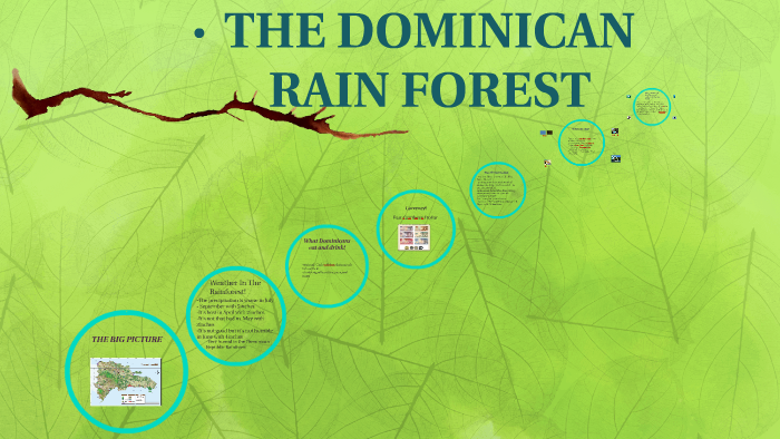 THE DOMINICAN RAIN FOREST by jake staton on Prezi