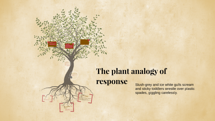 The plant analogy of response by Orsolya Szucs on Prezi