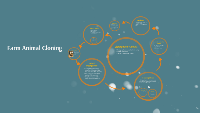 Cloning Farm Animals by kate hopkins on Prezi