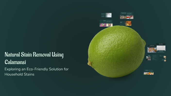 Natural Stain Removal Using Calamansi by Jia Valentos on Prezi