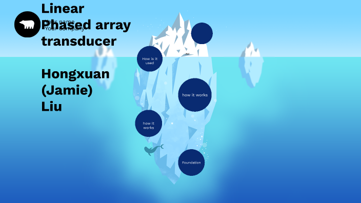 Linear PHASED ARRAY TRANSDUCERS by on Prezi