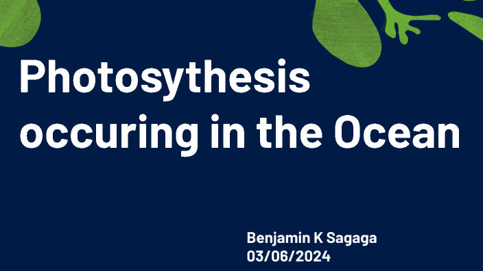 Photosynthesis in the Ocean by Benjamin Sagaga on Prezi