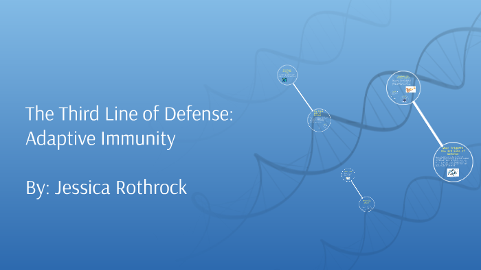 The Third Line of Defense: by Jessica rothrock on Prezi