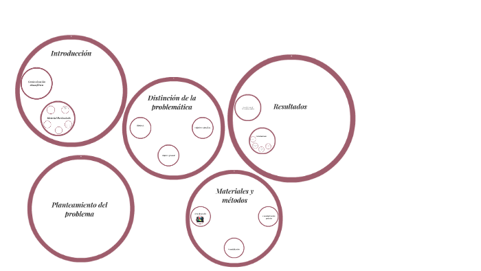 Introducción by Silvana Gatica