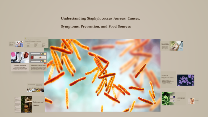 Understanding Staphylococcus Aureus: Causes, Symptoms, Prevention, and ...