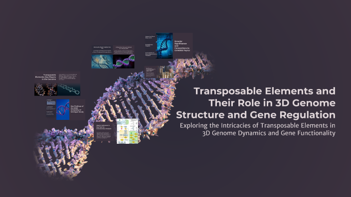 Transposable Elements and Their Role in 3D Genome Structure and Gene ...