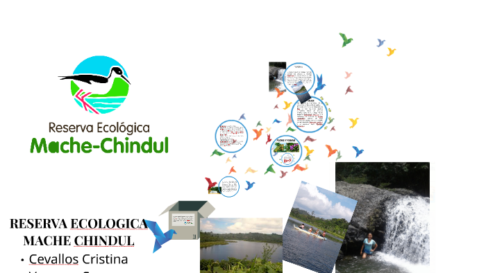 RESERVA ECOLOGICA MACHE CHINDUL by Cris Cevs on Prezi