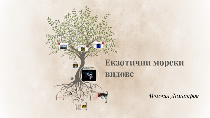 Екзотични риби by Momchil Dimitrov on Prezi