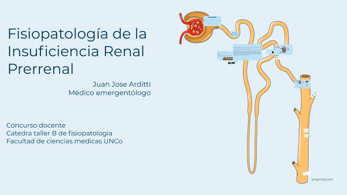 Insuficiencia Renal Prerrenal by Juan Arditti on Prezi