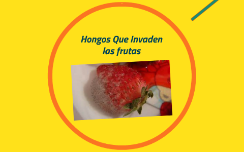 Hongos Que Invaden las frutas by lands lands on Prezi