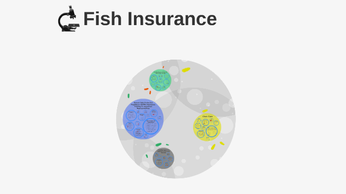 Fish Insurance by Joseph Barrett on Prezi