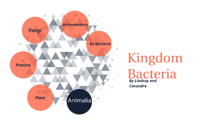 Kingdom Bacterias by Casandra Rodriguez on Prezi