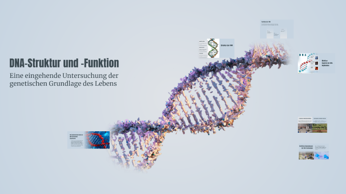 DNA-Struktur und -Funktion by Melanie Widmeier on Prezi