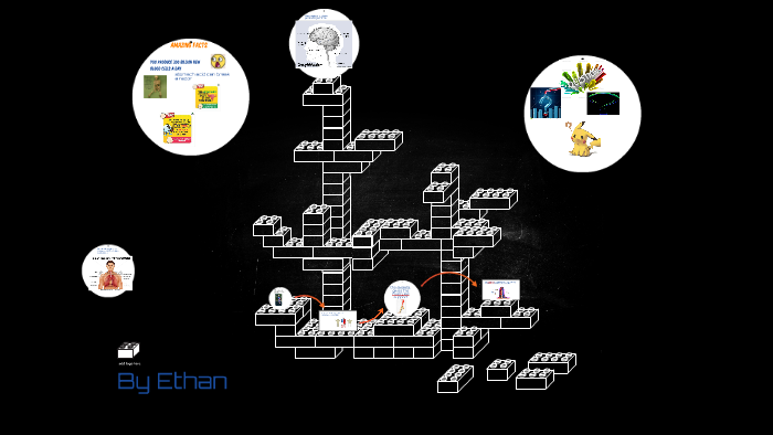 How Do The Systems Work Together By Trudy Berghauser How Do The Systems Work Together By Trudy Berghauser