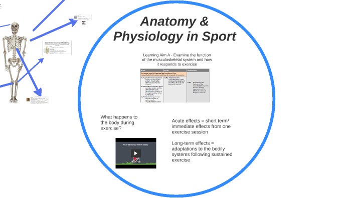 Anatomy & Physiology in Sport by Luke Yeomans on Prezi