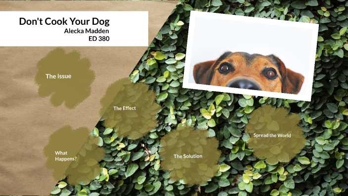 Don't Cook Your Dog by Alecka Madden on Prezi