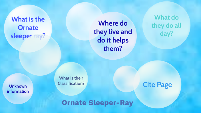 Ornate Sleeper-Ray by Mwamini Nkunzimana on Prezi