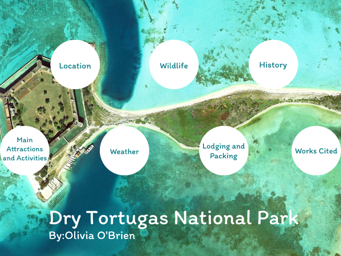 Dry Tortugas National Park by Olivia O'Brien on Prezi