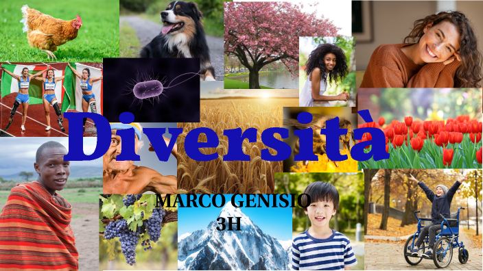 - by Marco Genisio on Prezi