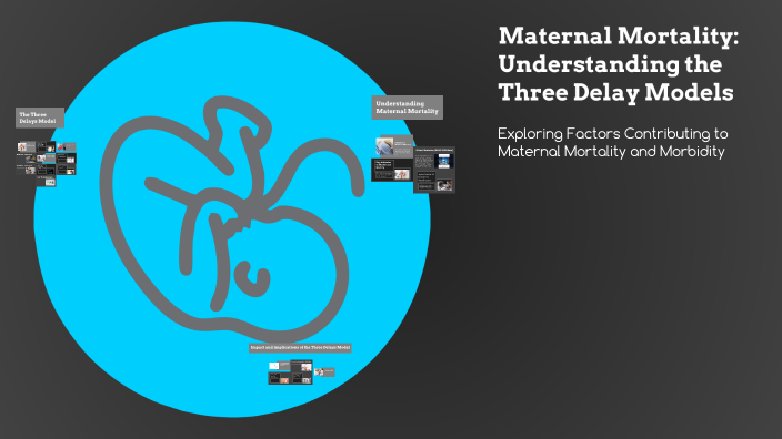 Maternal Mortality: Understanding the Three Delay Models by Hussein ...