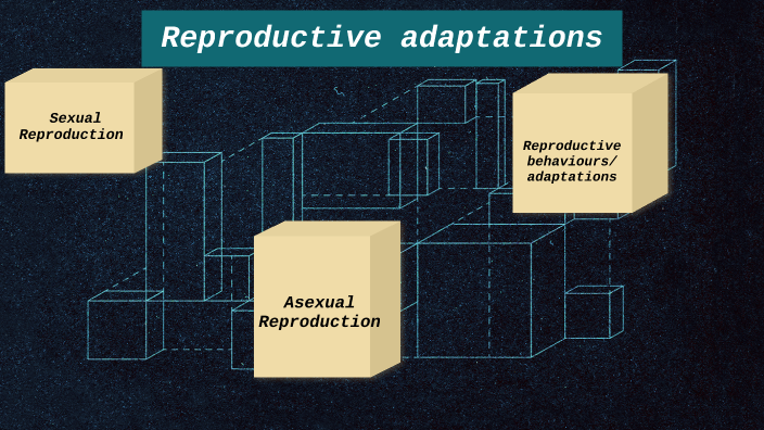 Reproductive adaptations by Jayden Kamara on Prezi