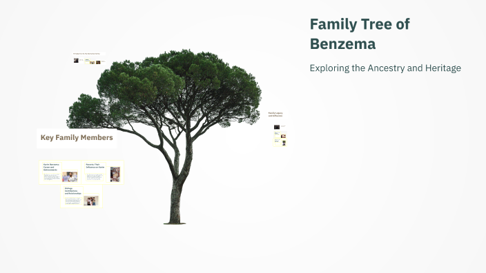 Family Tree of Benzema by Jean Jacques Rousseau on Prezi