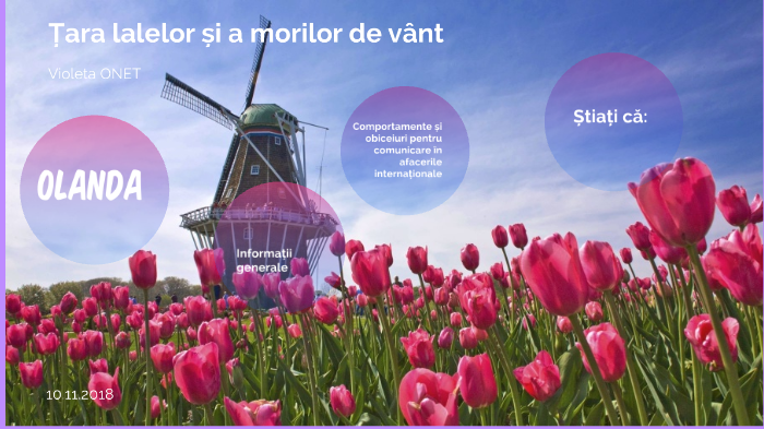 Țările de jos - Olanda by Moisa Violeta on Prezi