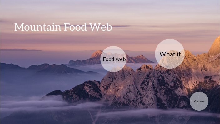 Mountain Food Web by Theodore Soldenwagner on Prezi