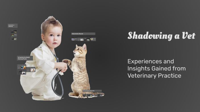 Shadowing a Vet by Kimberly Rosas on Prezi