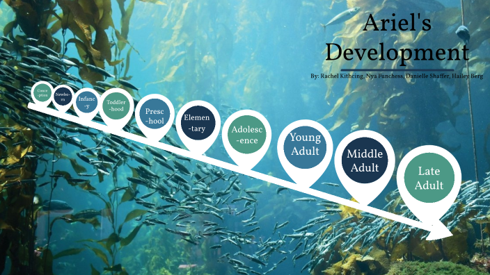 Ariel's Development by Rachel Kitching _ Student - HollySpri on Prezi