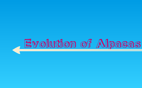 Evolution of Alpacas by Shannon Platt on Prezi