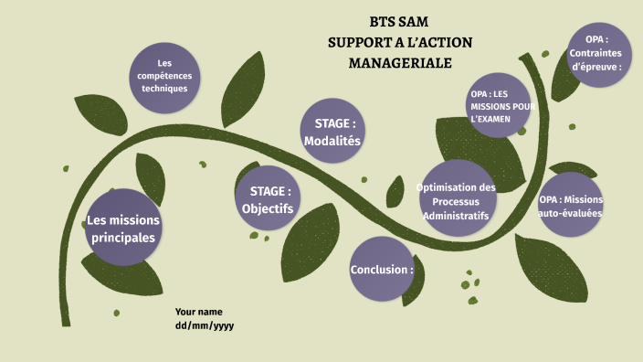 présentation bts sam by GABAUD Charlotte on Prezi