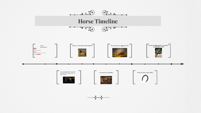 Horse Timeline by on Prezi