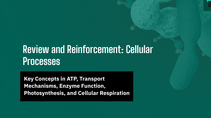 Review and Reinforcement: Cellular Processes by Canen Melton on Prezi