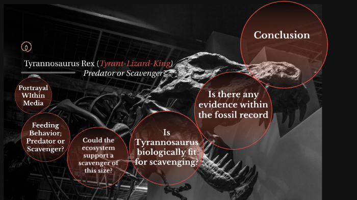 The feeding behavior of tyrannosaurus rex by Brandon Smith on Prezi