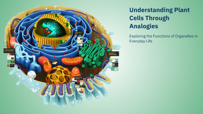 Understanding Plant Cells Through Analogies by Chy-lei Hunt on Prezi