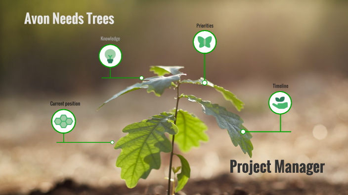 Initial priorities - project manager by Simon Keyte on Prezi