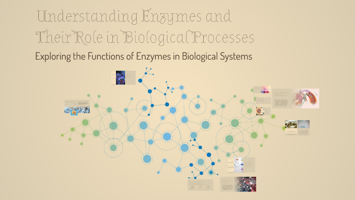 Understanding Enzymes and Their Role in Biological Processes by Abdur ...