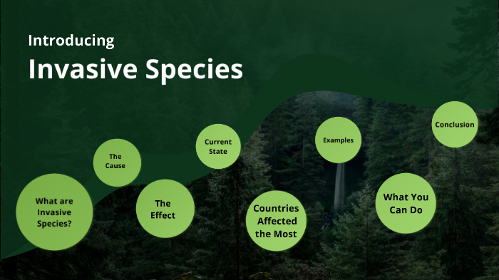 Introducing Invasive Species by Jenny Y on Prezi
