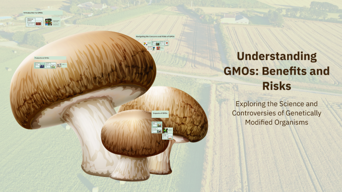 Understanding GMOs: Benefits and Risks by Ноила Джанабаева on Prezi