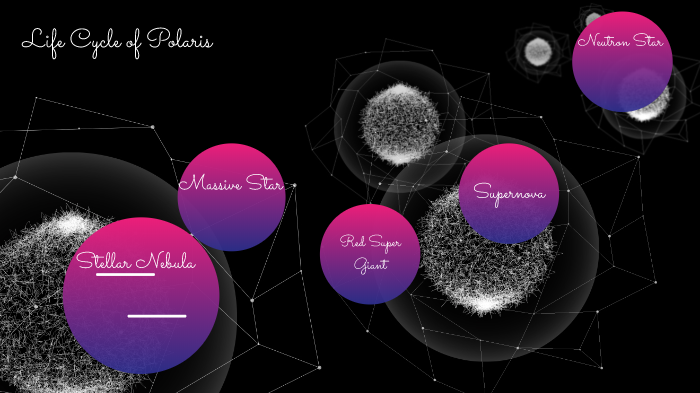 Life Cycle of Polaris by Jaden Ramirez on Prezi