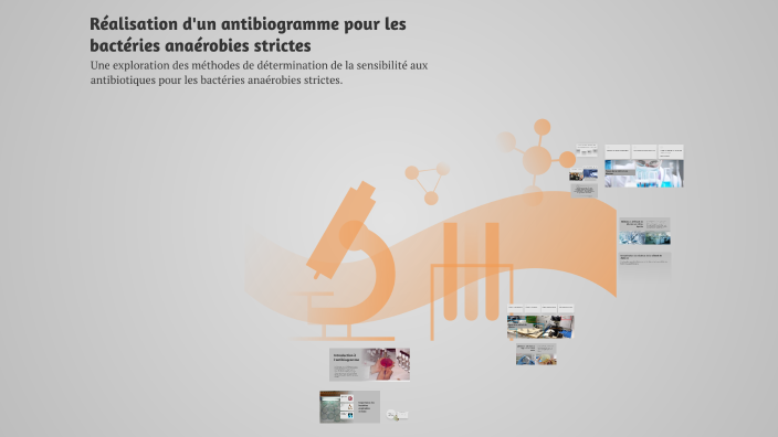 Réalisation d'un antibiogramme pour les bactéries anaérobies strictes ...