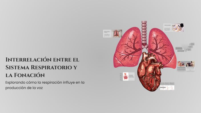 Interrelación entre el Sistema Respiratorio y la Fonación by BELLA ...