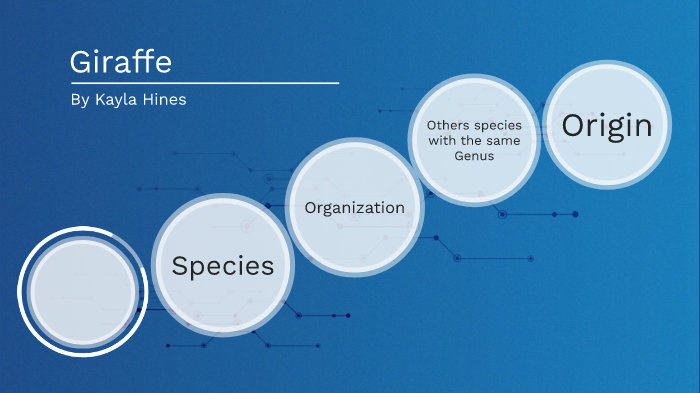 Animal Classification Project by Kayla Hines on Prezi