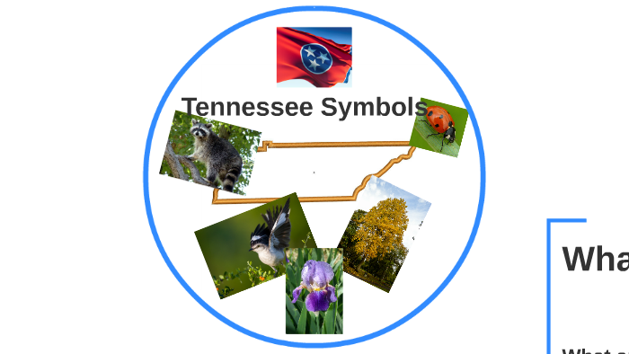 Tennessee Symbols by Christopher Grisham on Prezi
