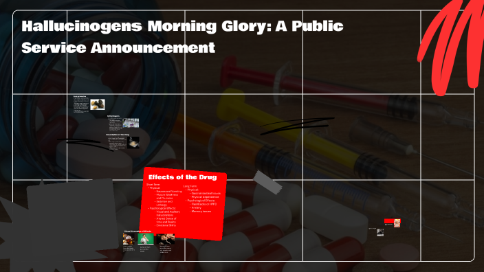 PSA: Morning Glory by Allison Juarez Valente on Prezi